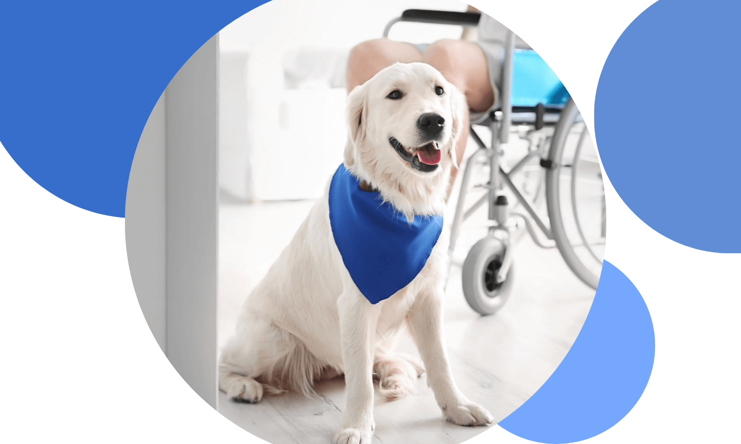 HUD’s New Assistance Animal Notice - Fair Housing Attorneys Williams ...
